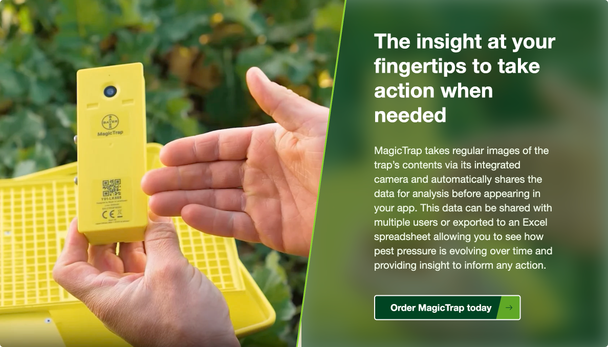 MagicTrap. The digital yellow trap for oilseed rape pests – Bayer Crop ...